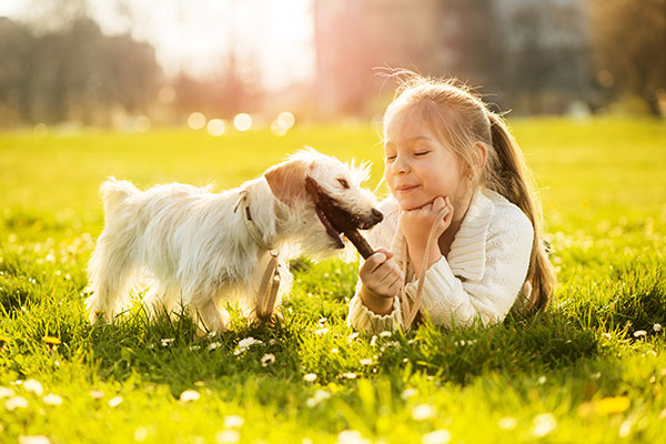 Fido’s First Year – Puppy Care Tips | North Hampton Animal Hospital